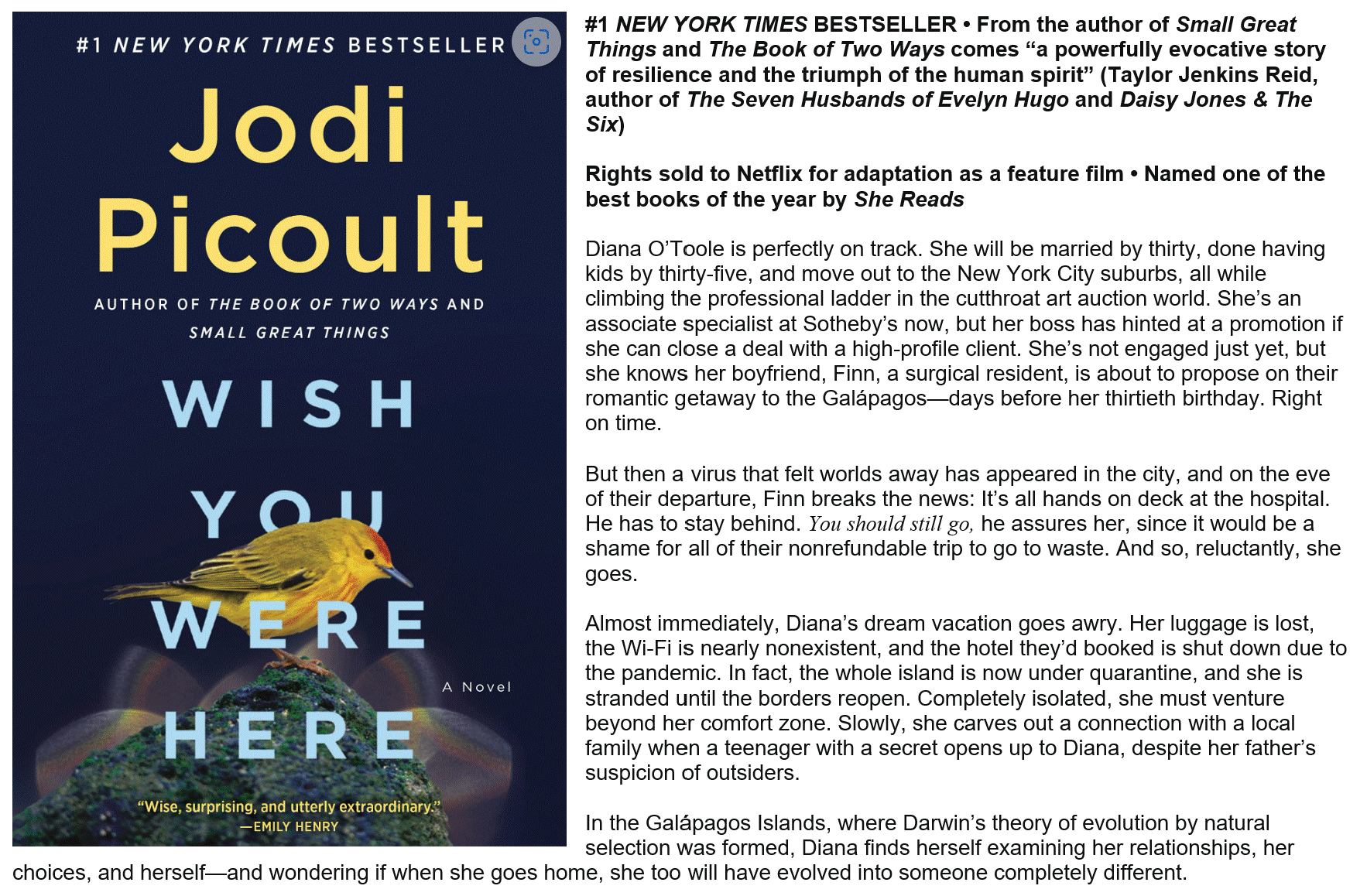 New Books – Friends Of Bryanston Library